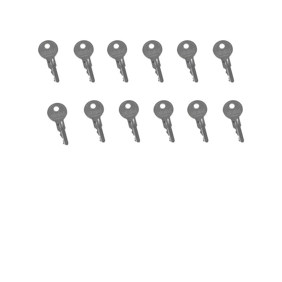Standard Replacement Key Set (12) for EZGO Golf Carts | 3 Guys Golf Carts